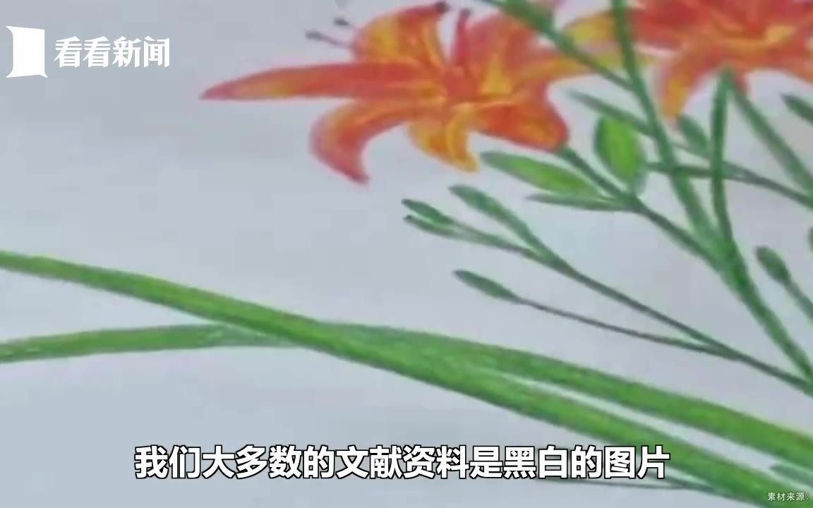 “苦药”也能这么美!高校教师4年手绘500味中药 自创诗词讲解药性