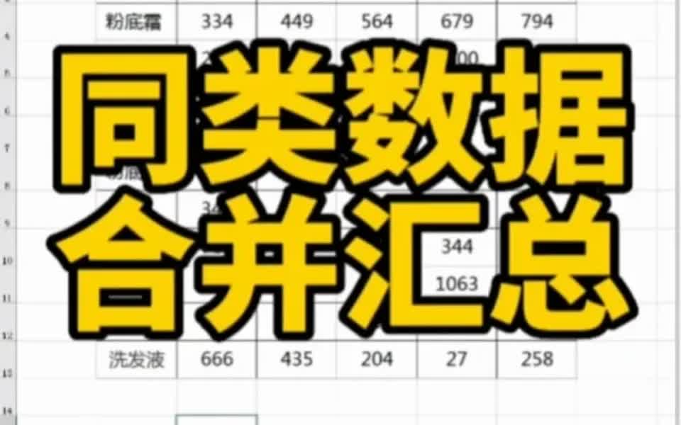 Excel表格数据规范,同类数据合并汇总