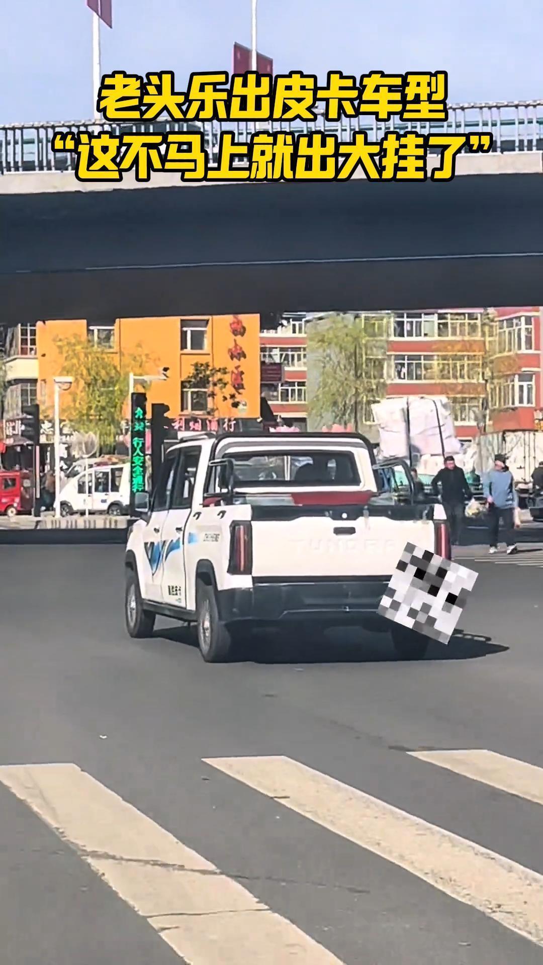 老头乐出皮卡车型,"这不马上就出大挂了"
