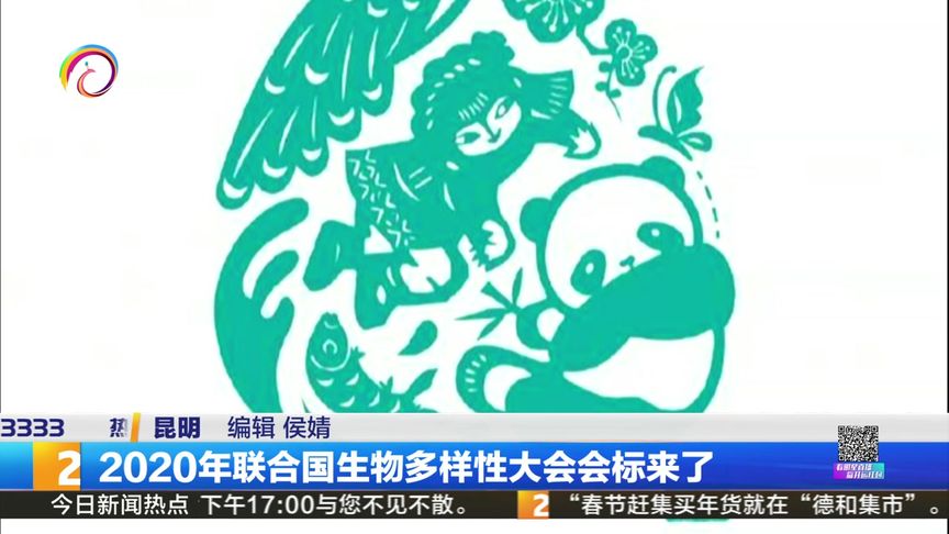 2020年联合国生物多样性大会会标来了
