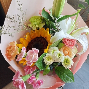新创厂家17525880257 
