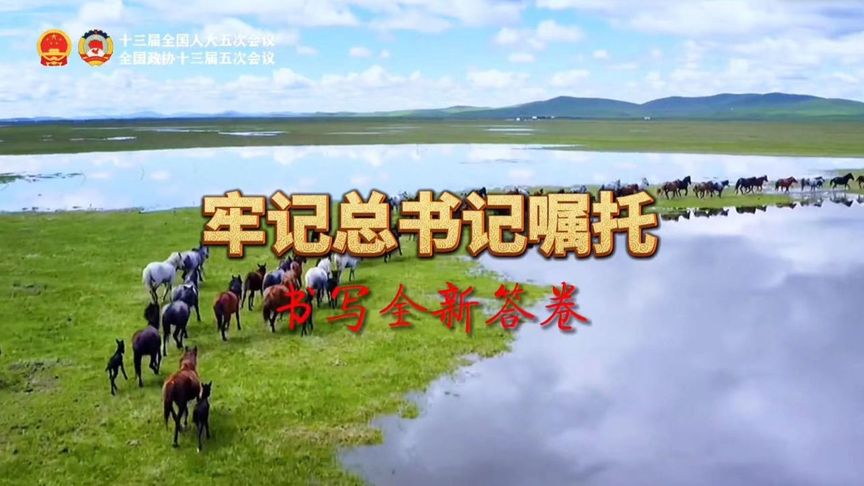 2022年全国两会特别策划 · 视频