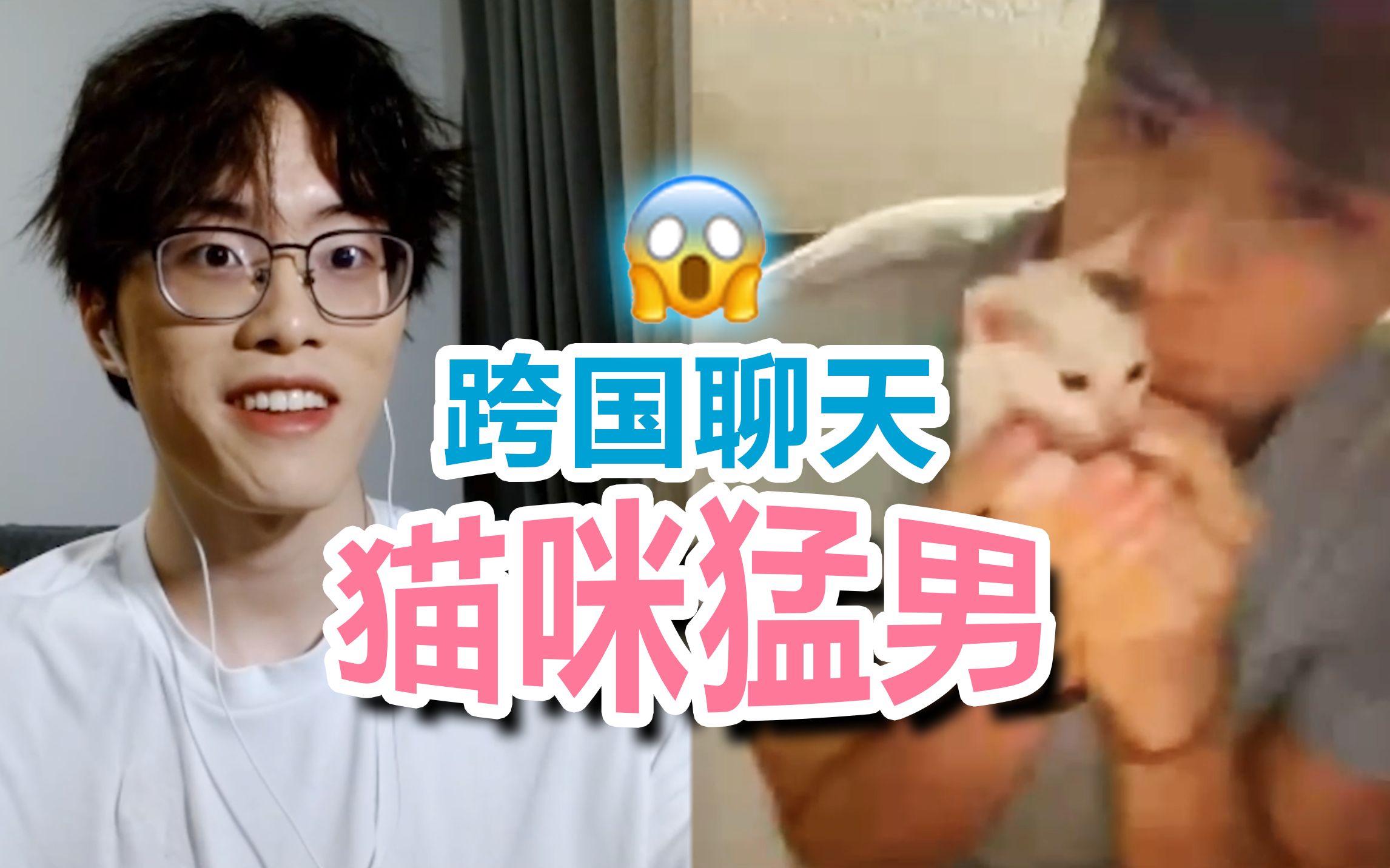 你吸过外国小猫咪吗?老外也逃不出小奶猫魔爪