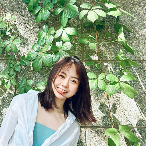 数不清到底多少鸭 