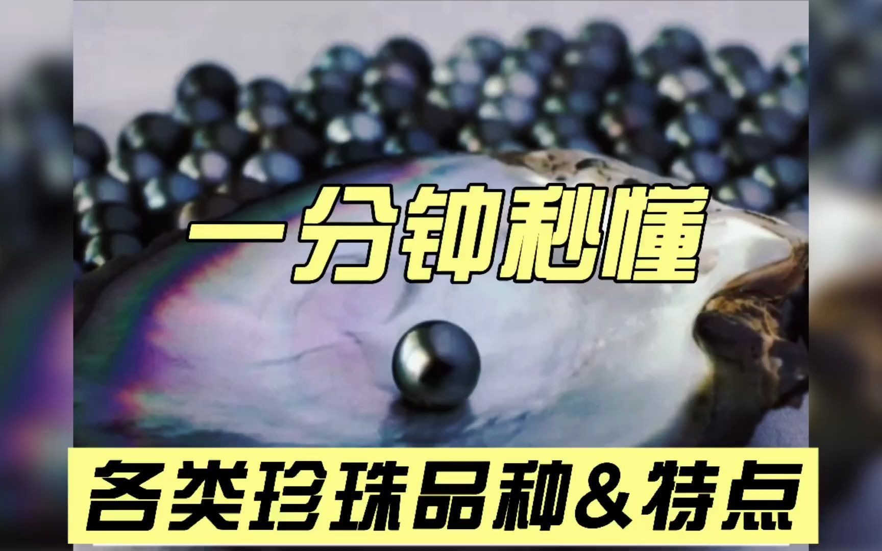 1分钟秒懂海水珍珠和淡水珍珠的种类!