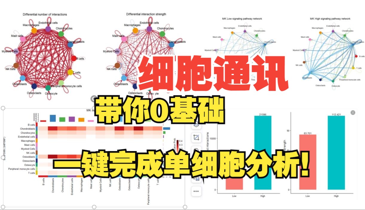 07(附代码)单细胞通讯分析精讲!带你一键揭开细胞之间的神秘信号通路!
