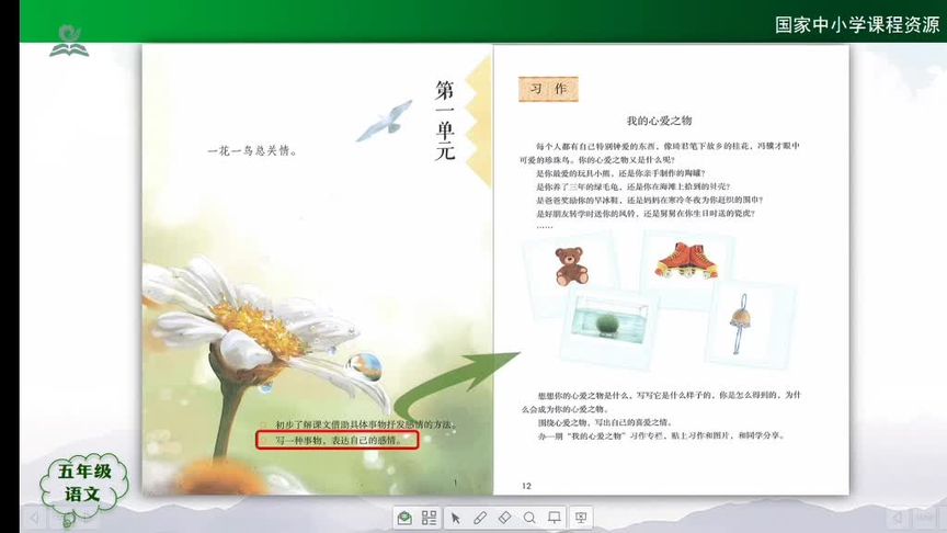 五年级上册第一课白鹭