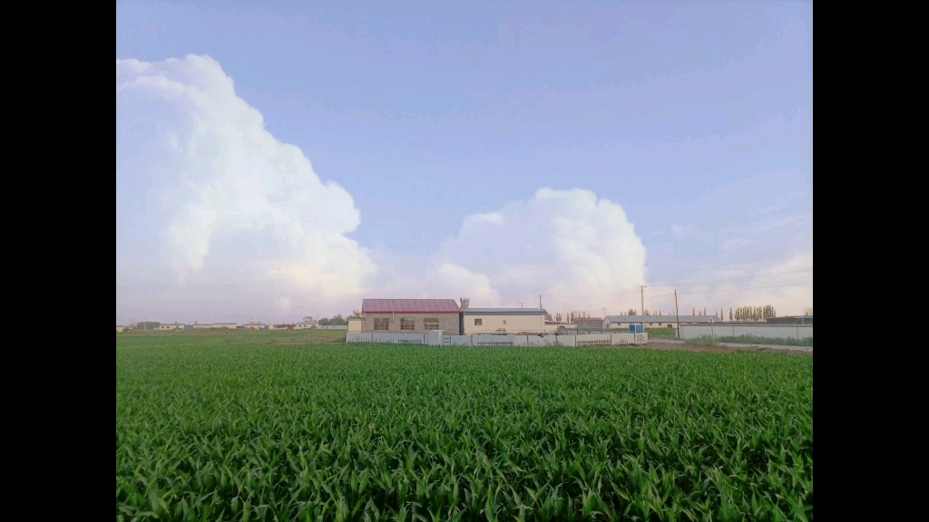 ...了,好想回农村～农村的尽头,还是要继续CPA,限制性股票|股份支付4