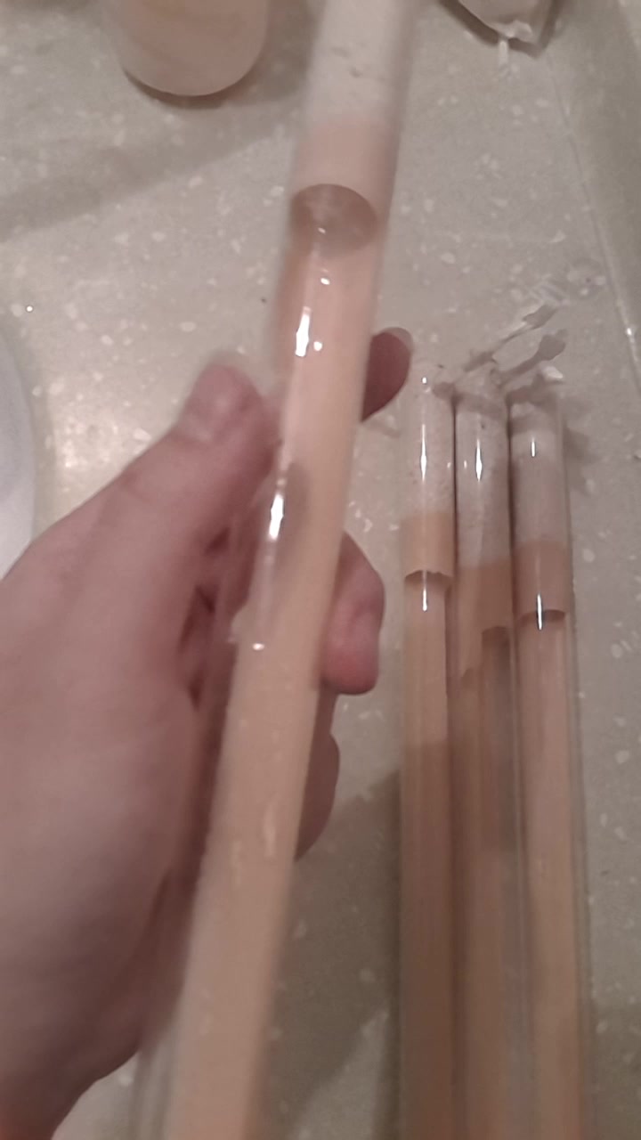 蚂蚁·普通具支试管巢