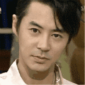 哟喂猫儿子 