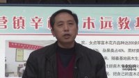 经济苗木管理知识及病虫害防治