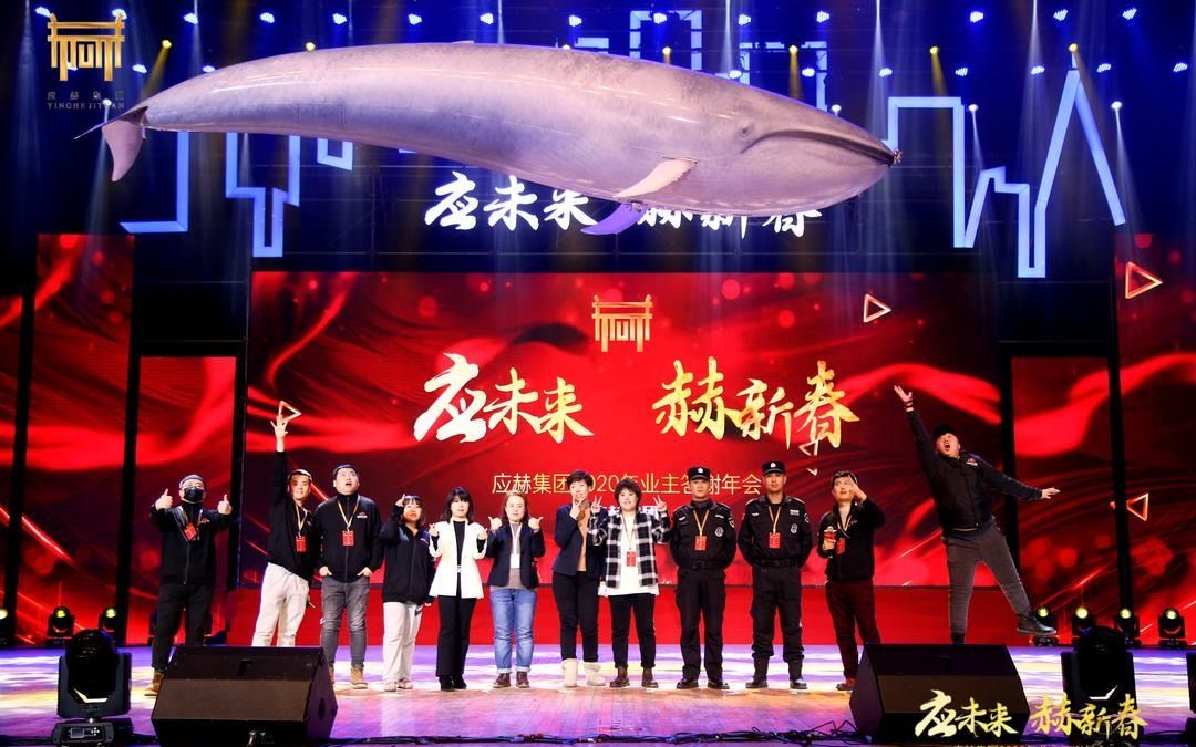现实版的大鱼海棠你见过吗?这到底是海豚还是鲸鱼?创意新鲜玩法的...