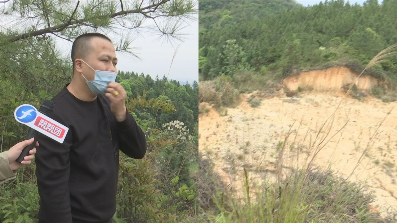 山体遭当地砖厂私自挖掘,林地被破坏!相关部门介入责令复绿