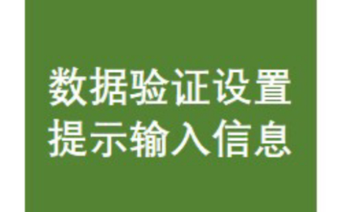 EXCEL中数据验证基础用法(二)设置提示输入信息