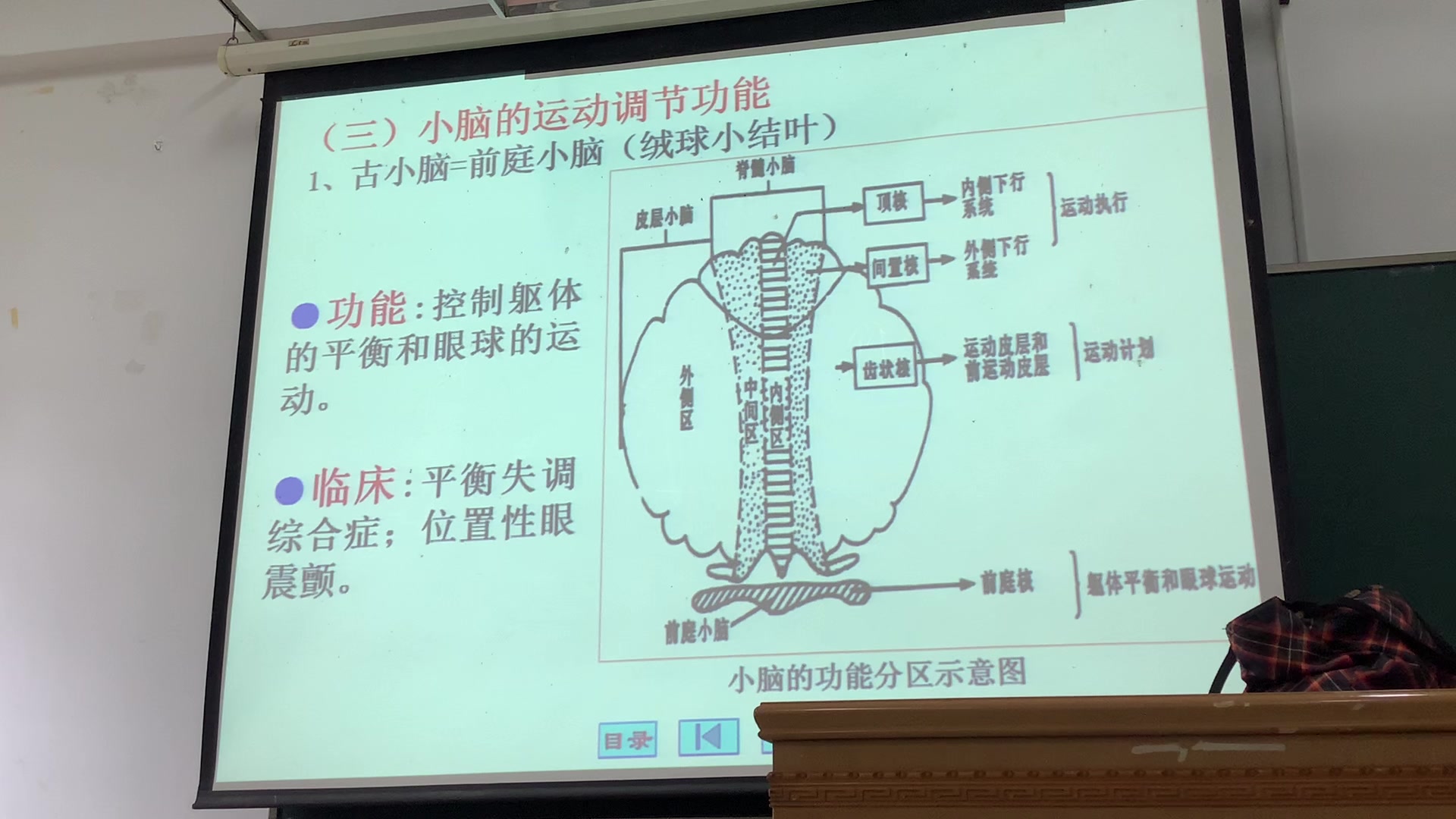 生物生理 神经系统第四节 (三)小脑的运动调节功能