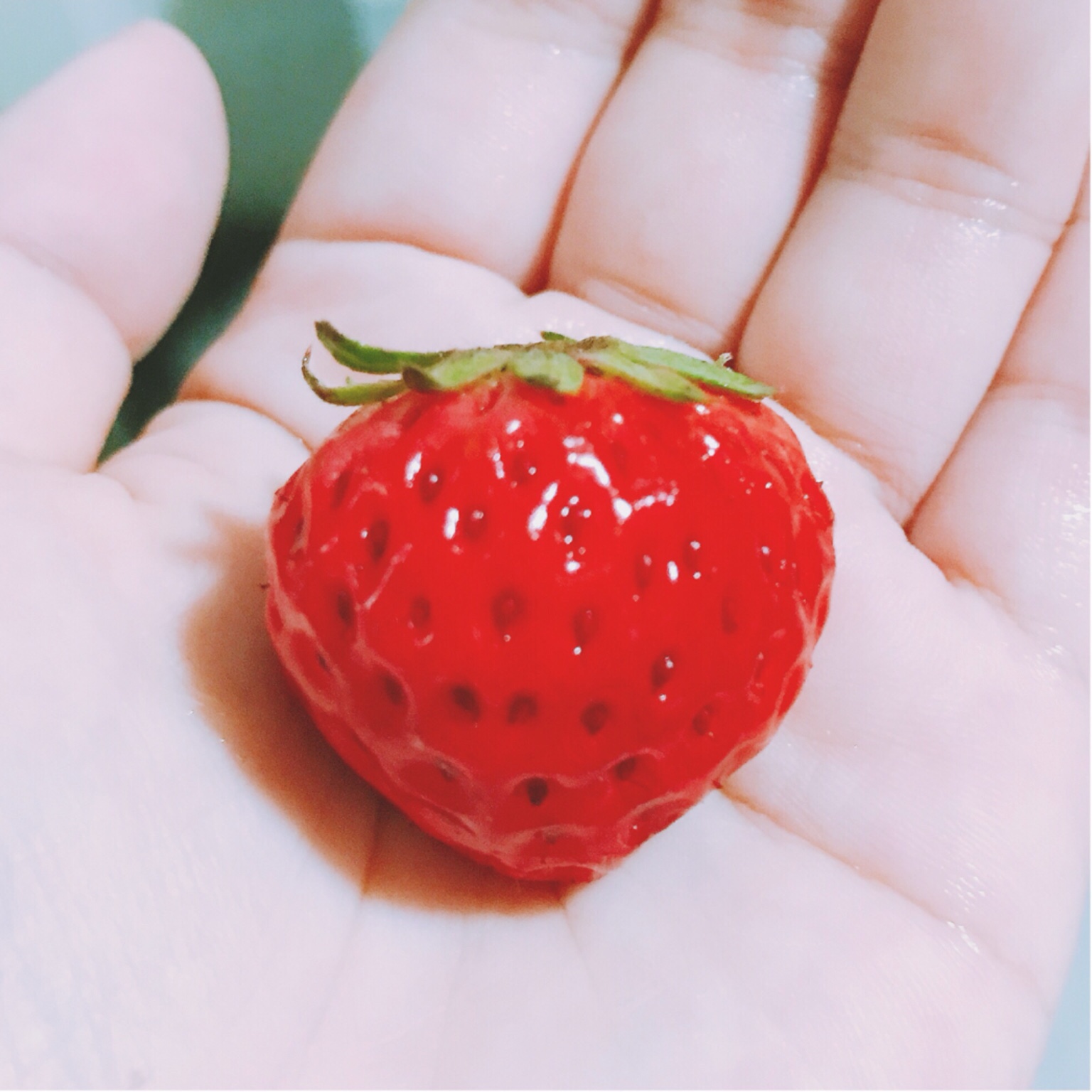 再吃一颗草莓 
