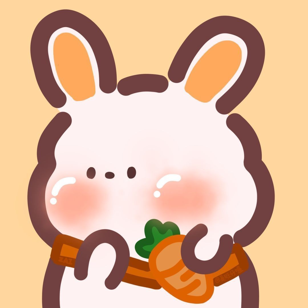 DS小兔 
