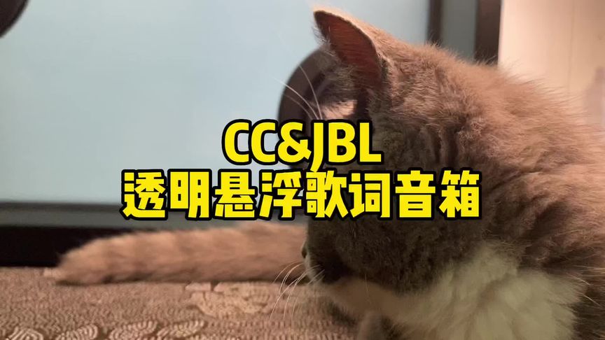 CC&JBL透翅蝶透明悬浮歌词音箱CJ-4屏幕显示蓝牙音箱#种草 #音响