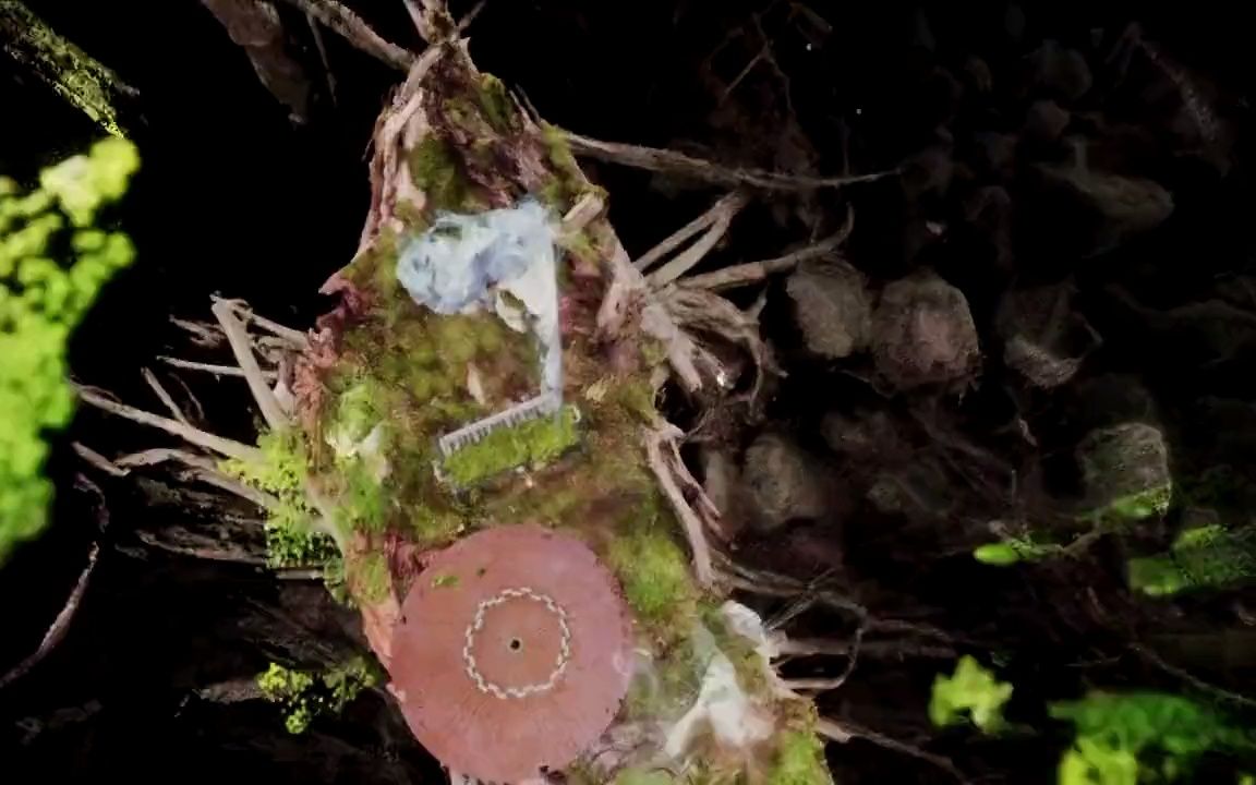 360度沉浸式交互音乐体验营造仙境原始森林氛围