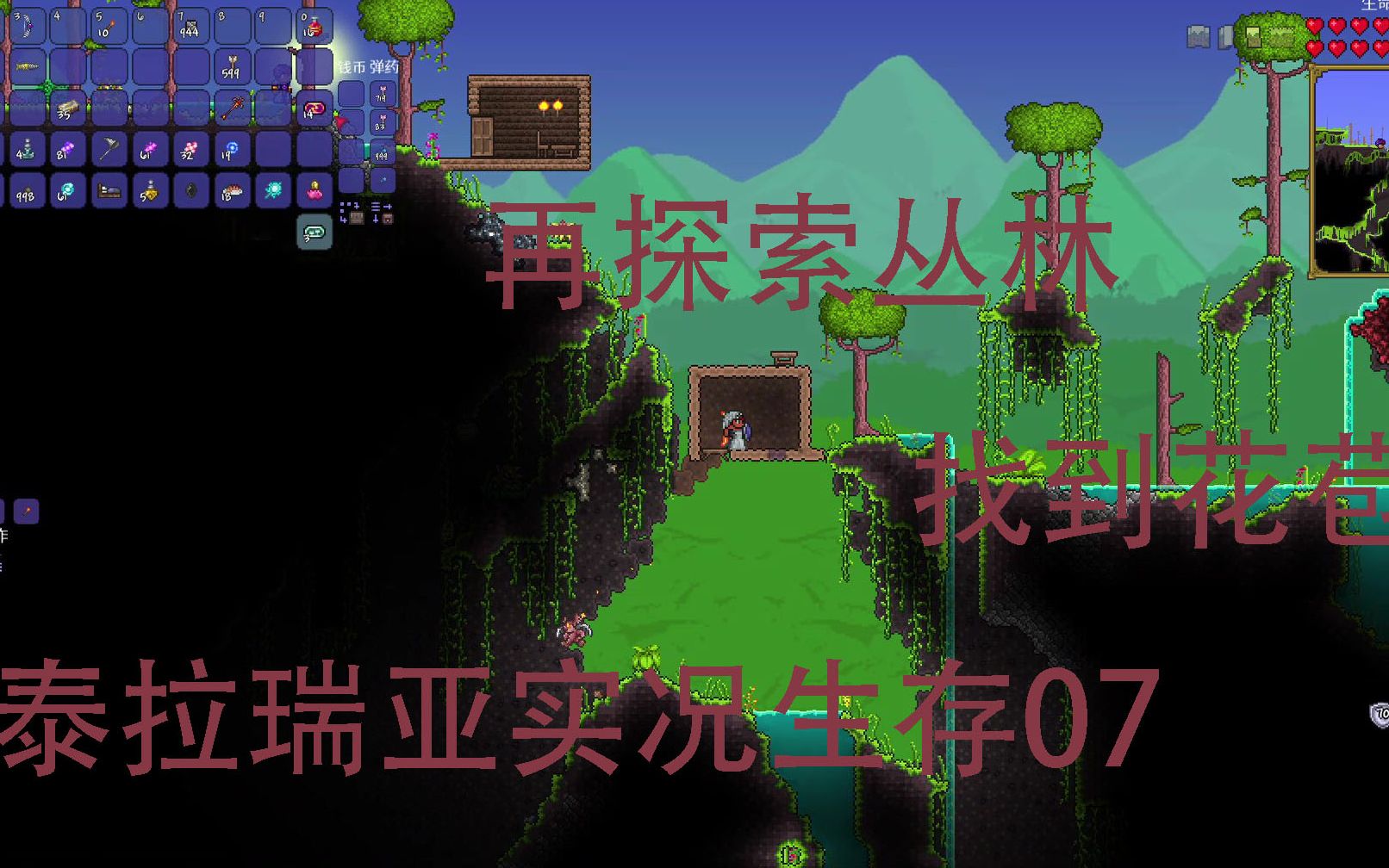 泰拉瑞亚生存实况07【再探索丛林】