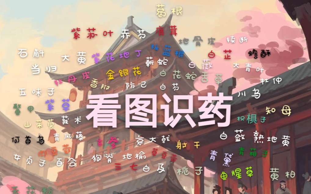 【中药】中医药大学学生整理 | 中药功效 | 图片 | 附音频 | 建议收藏