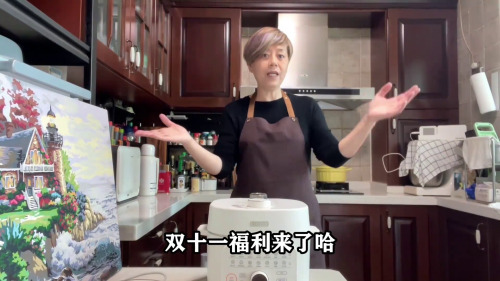 双十一有活动啦!适盒电压力锅,颜值高功能多,不错的选择!