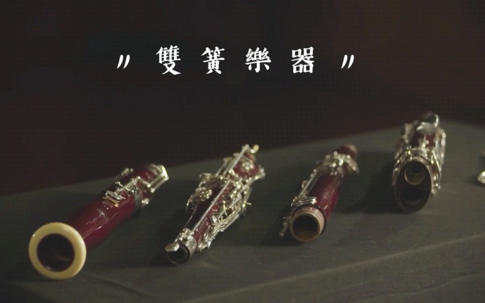 一目了然的乐器介绍系列|木管家族|长笛、单簧管、双簧管、巴松(低音...