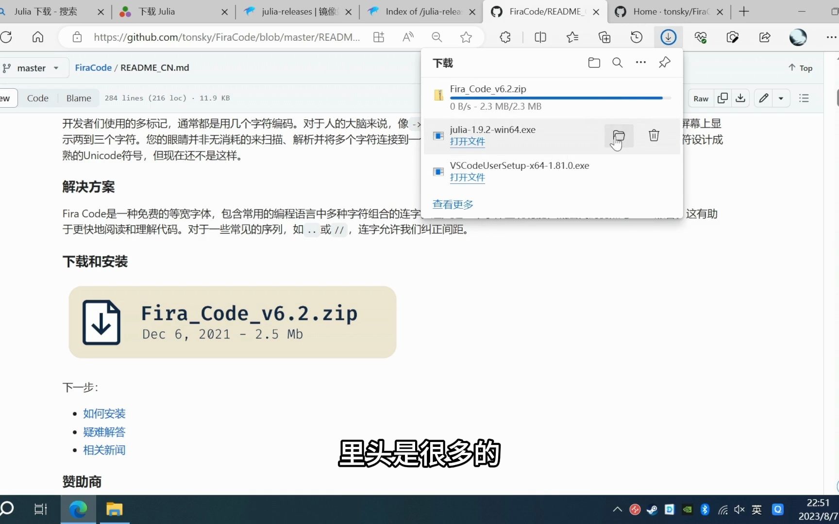 Julia安装,访问Github方法,Fira Code字体安装,VS Code配置,Syslab推荐