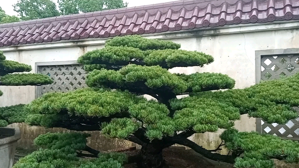 潼关玻璃幕墙防水维修潼关钢结构屋面防水维修报价大荔玻璃穹顶防水...