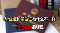 大学的毕业证和学位证有什么不一样?我认为,3个区别很明显