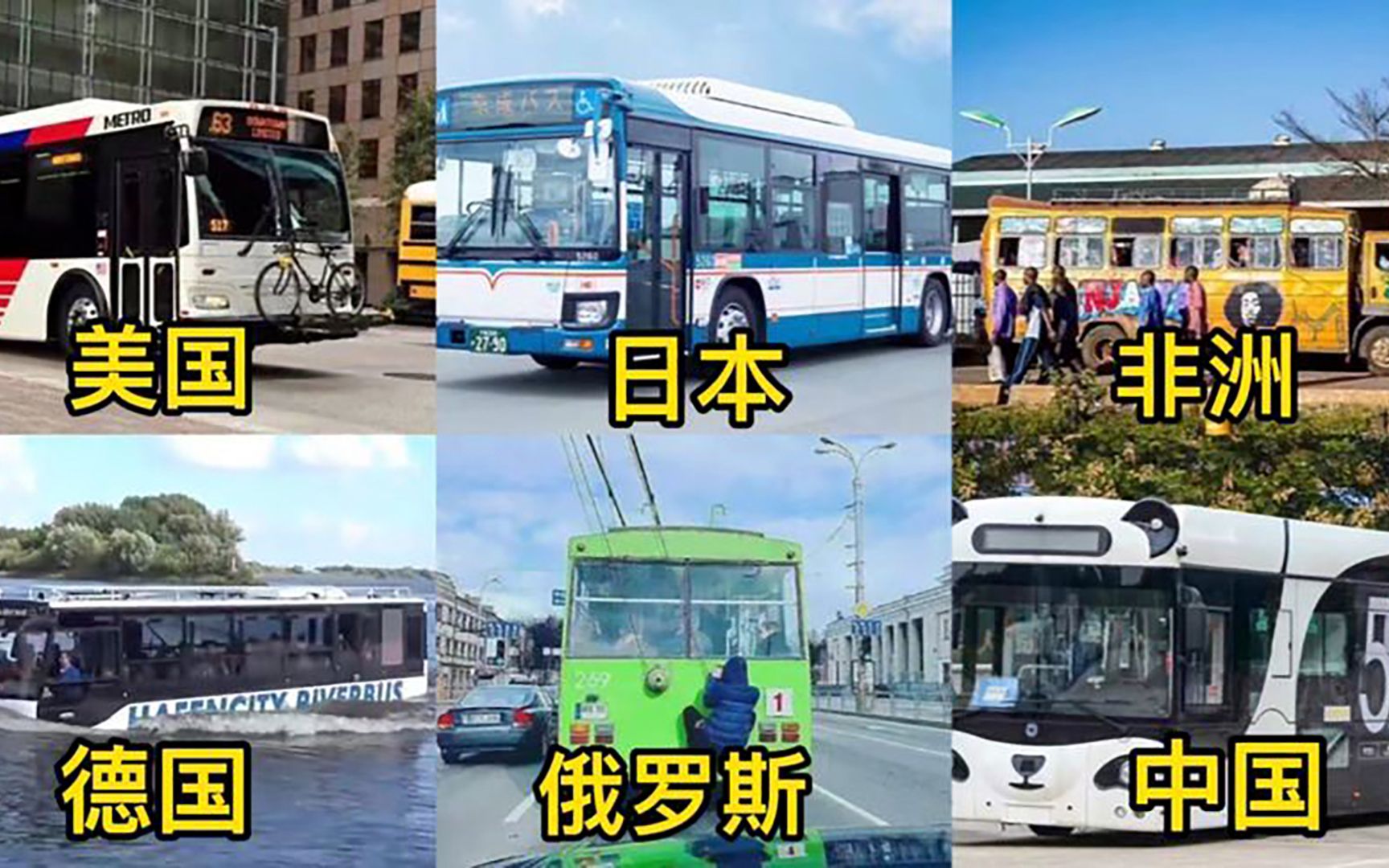 不同国家的公交车