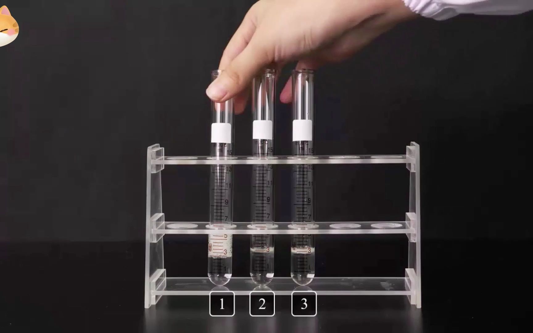 【必修1实验】探究pH对过氧化氢酶活性的影响H2O2活性因素人教版...