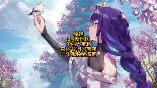 新地图华丽大宝箱加森林书号宝箱