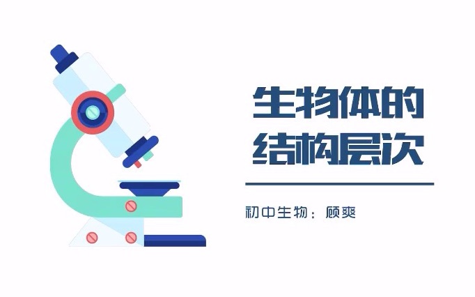 初中生物会考总复习:生物体结构层次