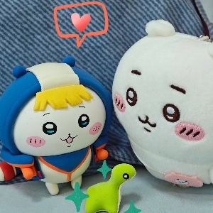 安赫每天都在吃 