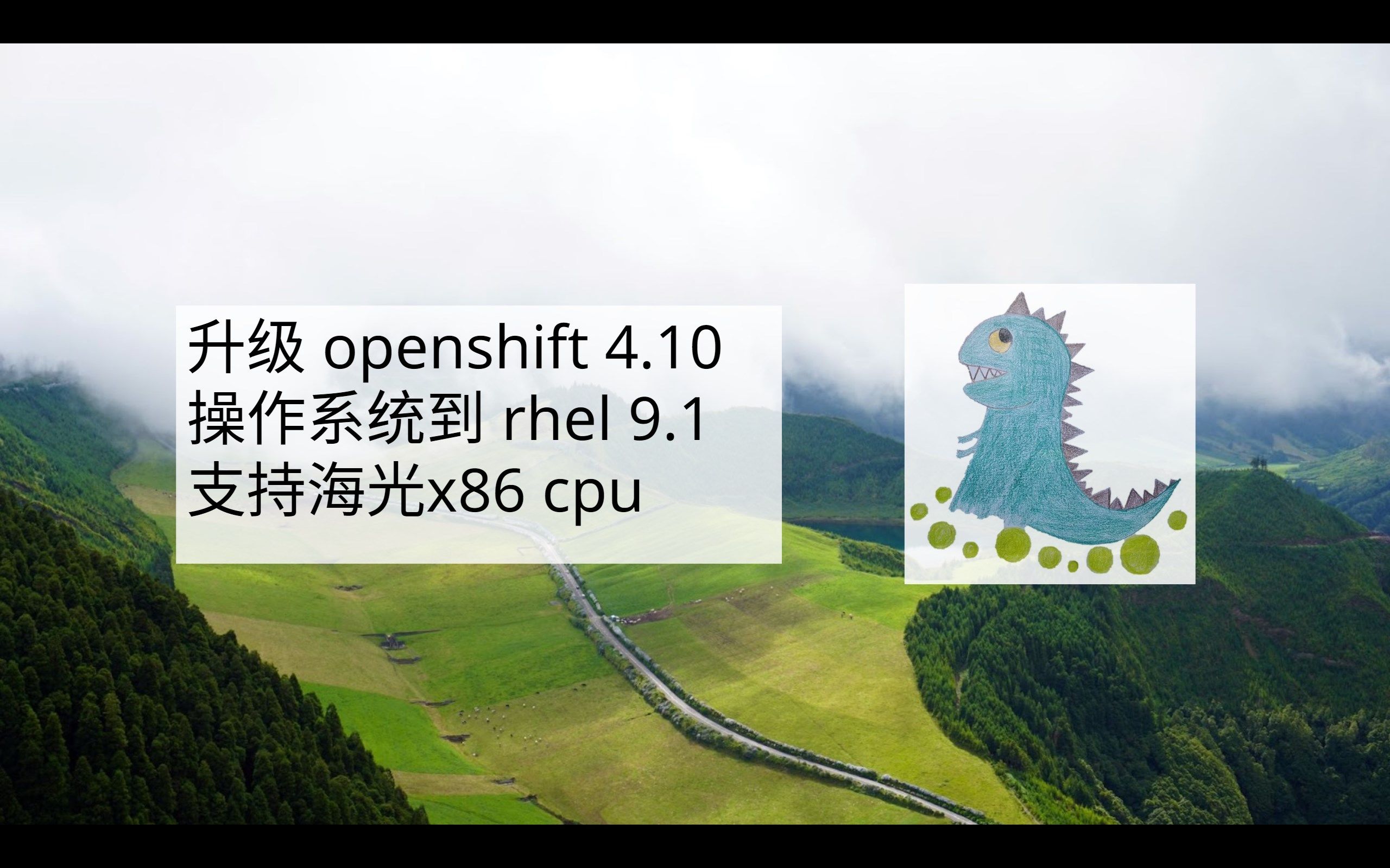 升级 openshift 4.10 基础操作系统到 rhel 9.1 支持海光x86 cpu