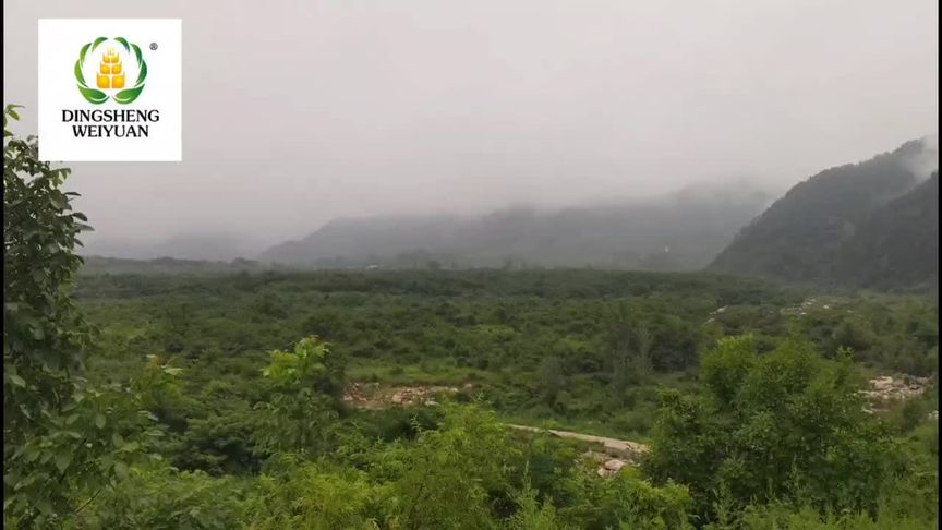 太白山下,天然氧吧,避暑好去处