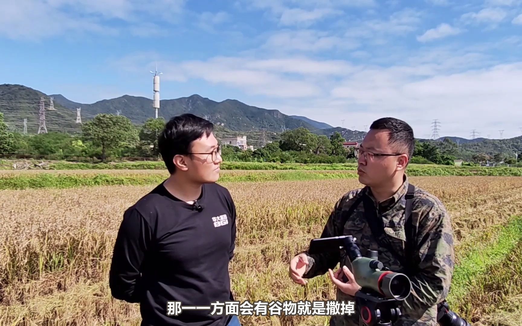 稻田在生态系统中的“定位”