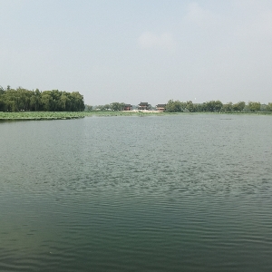 大师之道 