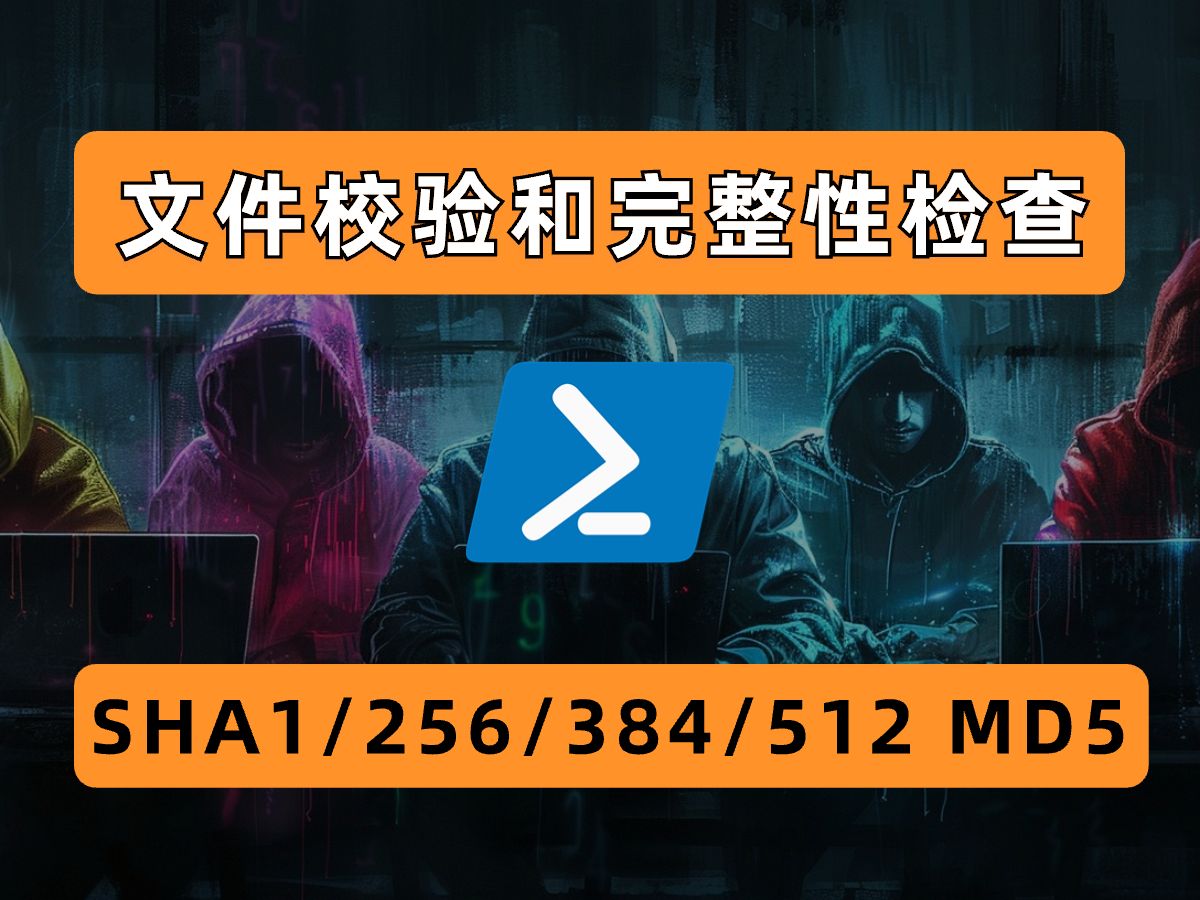 如何进行文件校验和完整性检查