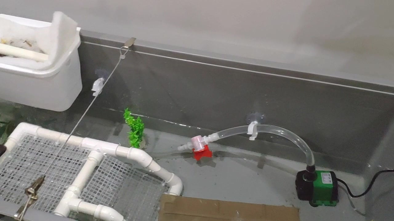 测试视频:使用周转箱制作养龟的环境