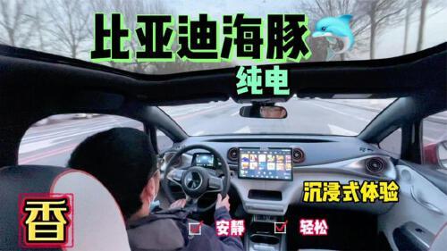 比亚迪海豚沉浸式驾驶体验,纯电小车提速轻盈,配置丰富好开好停