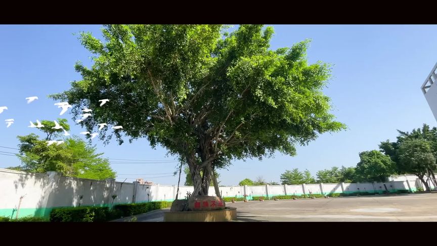 #厦门华兴实验学校 2022年#招生 宣传片来啦!看来看看!