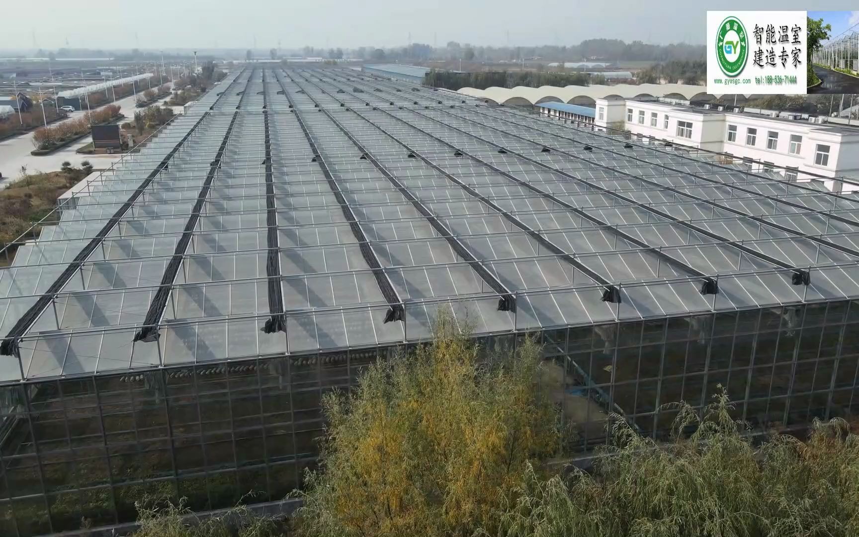 全玻璃覆盖的温室大棚如何设计建造,一亩地蔬菜大棚投资造价是多少