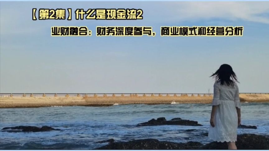 第2集|什么是现金流和现金流量表#老板#创业#财务#经营#财经