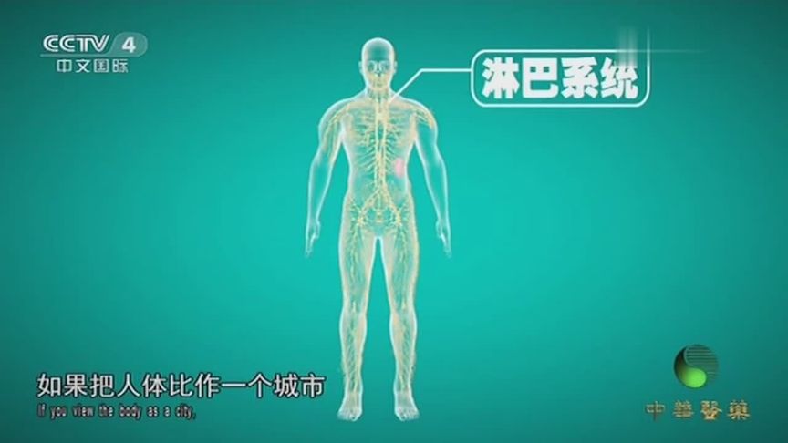 人体内除了遍布的血管外,还有淋巴系统,它的作用你知道吗?