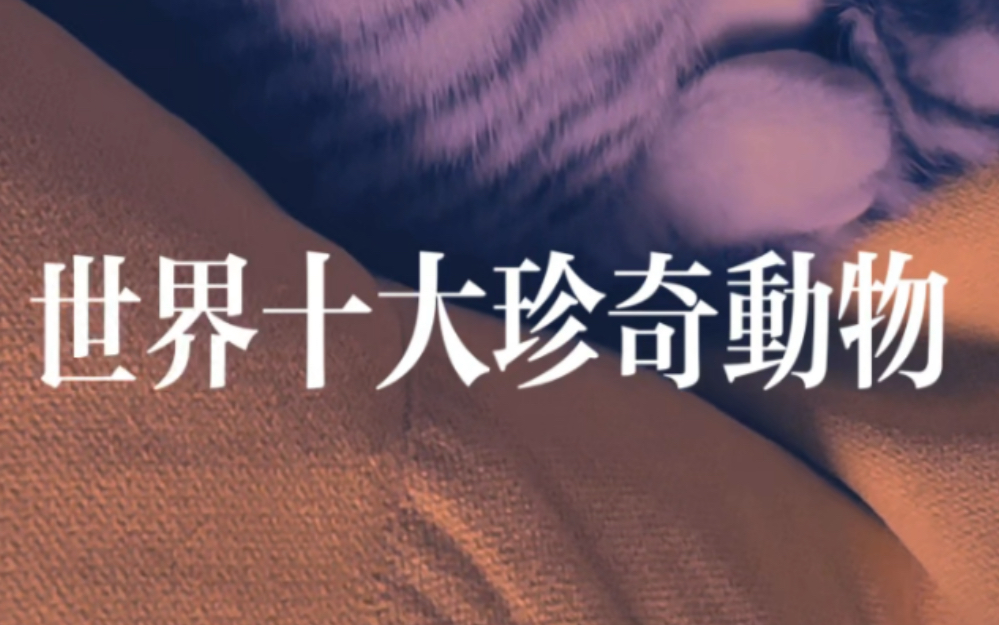 世界十大珍奇动物