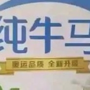 龙腾喵喵 