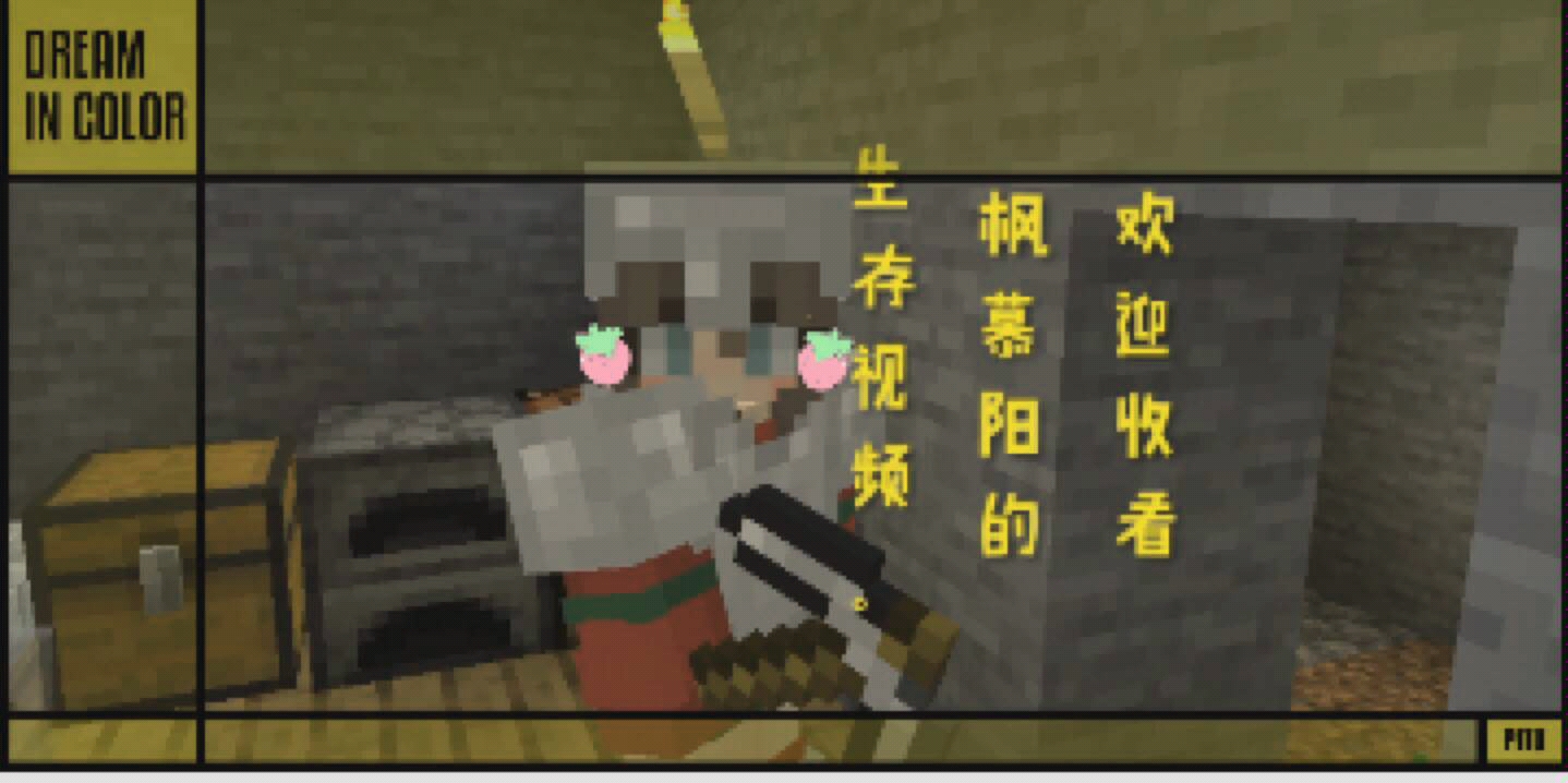 【枫慕阳1227】 《我的世界》 夏季生存 第二期 (很好的开端!)