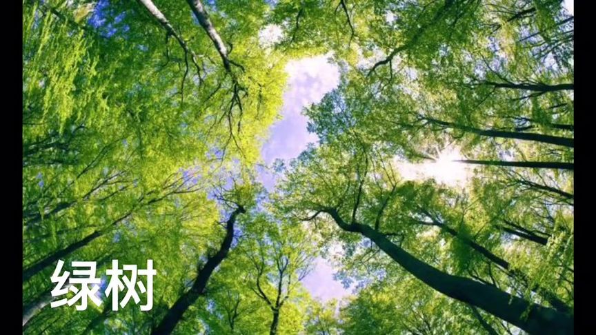 6.5—世界环境保护日